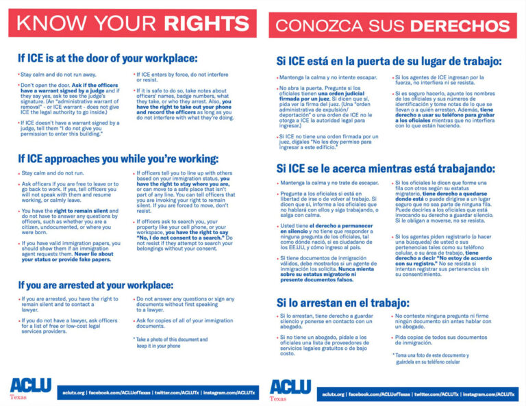 Know Your Rights: support for A&M-San Antonio’s undocumented students ...